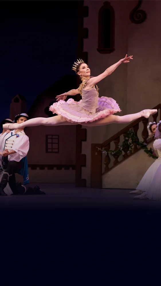 Watch Story Ballet | Marquee TV