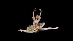 A Brief History of the Ballerina